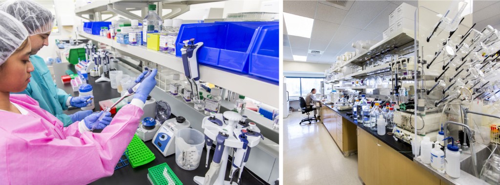 Bio-Rad Corporate Branding & Annual Report » by 405 GROUP